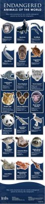 Endangered Animals For Kids