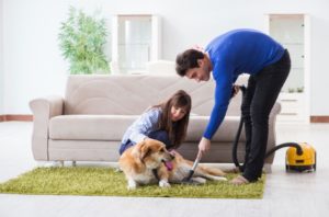 5 Ways to Keep Pet Hair Under Control - Animals Time