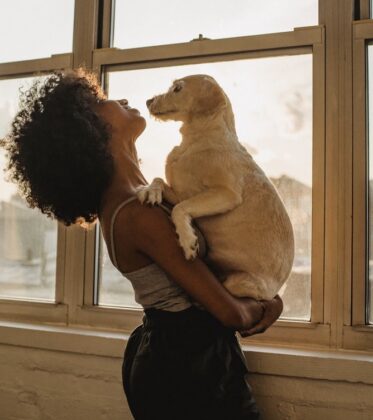 Safety Guide: Effective Kratom Use For Dogs, Cats & Pets (2021 ...